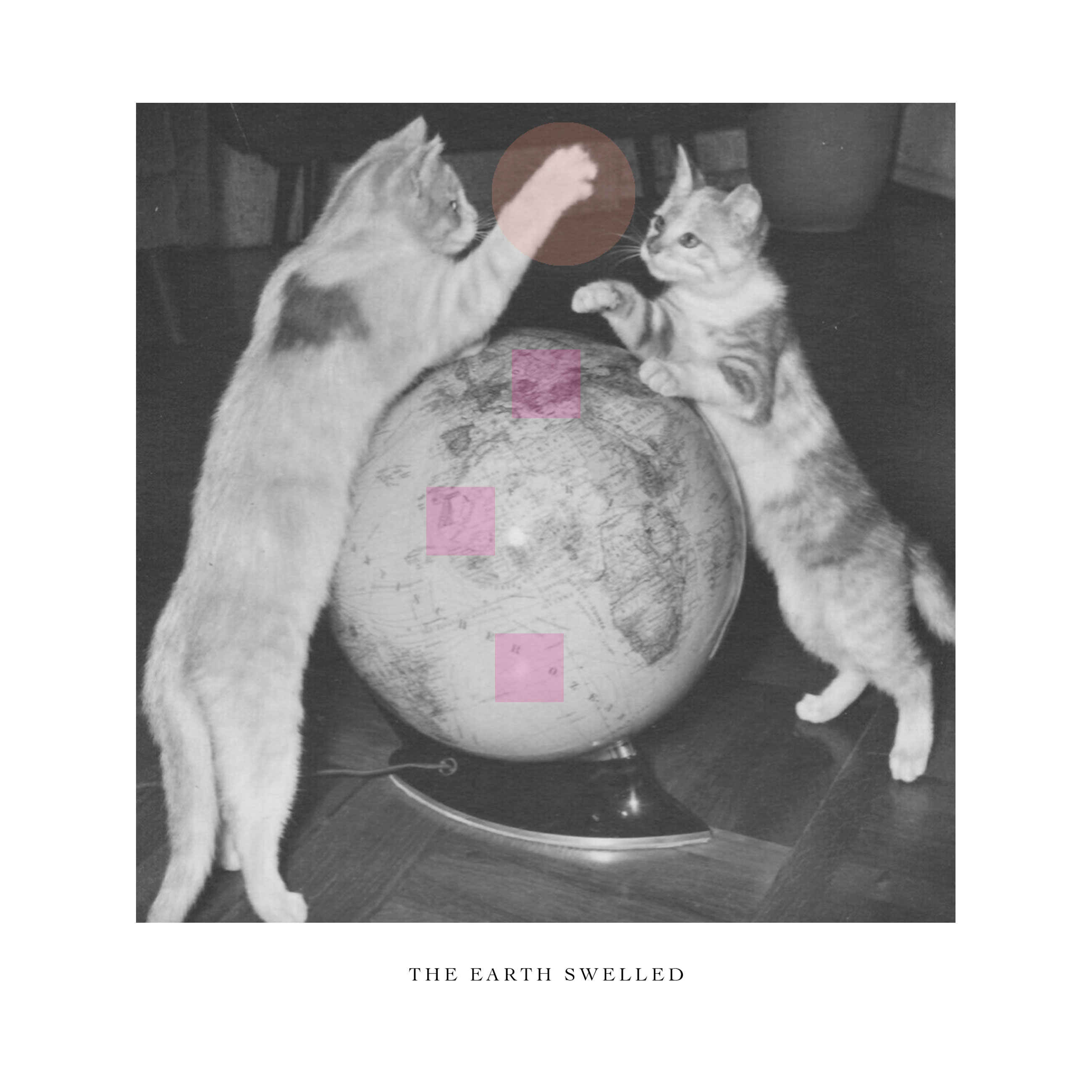 Feature Bindi Vora’s beautiful record of the pandemic : The Wick